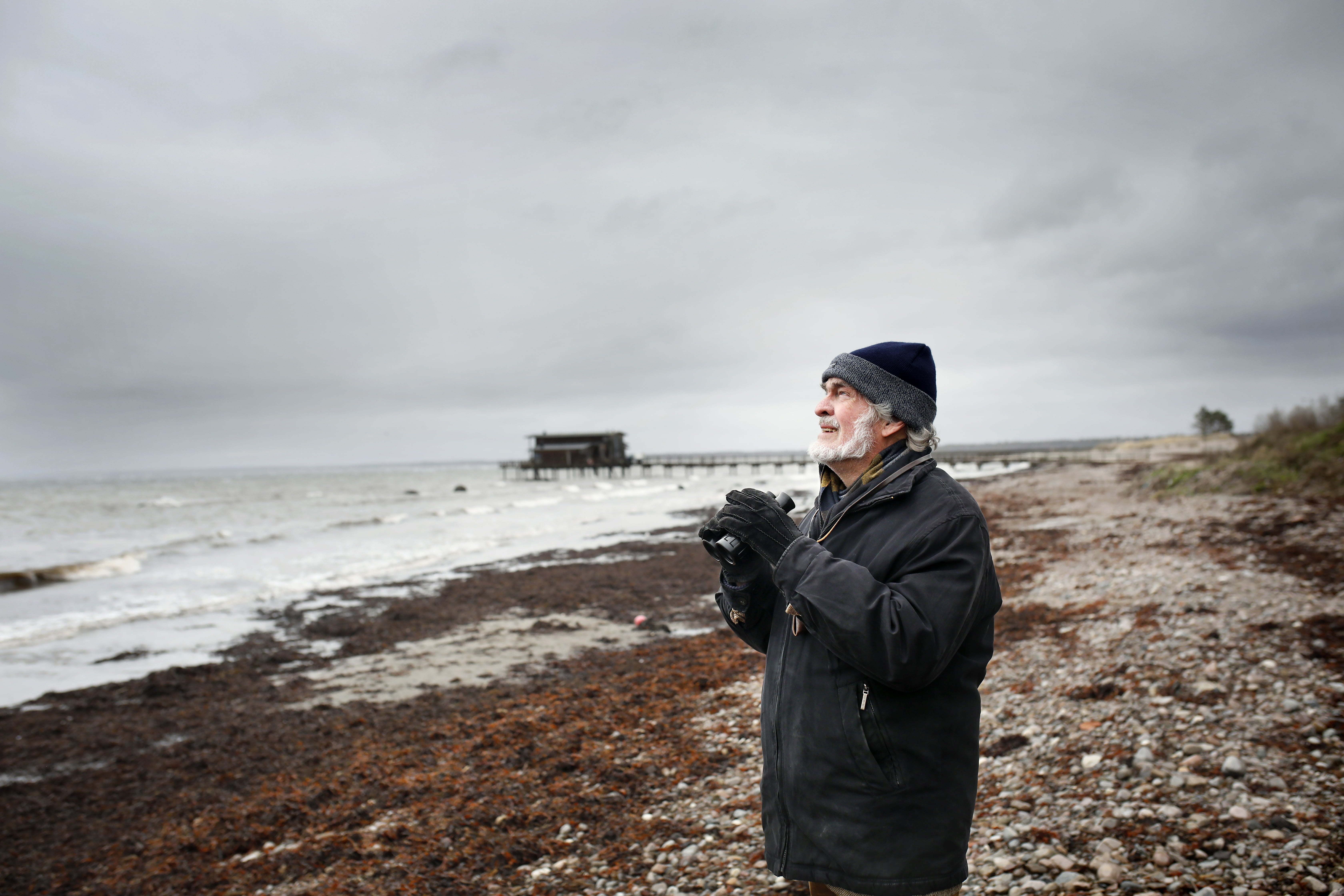 Lasse Berg | Författare | Ordfront förlag